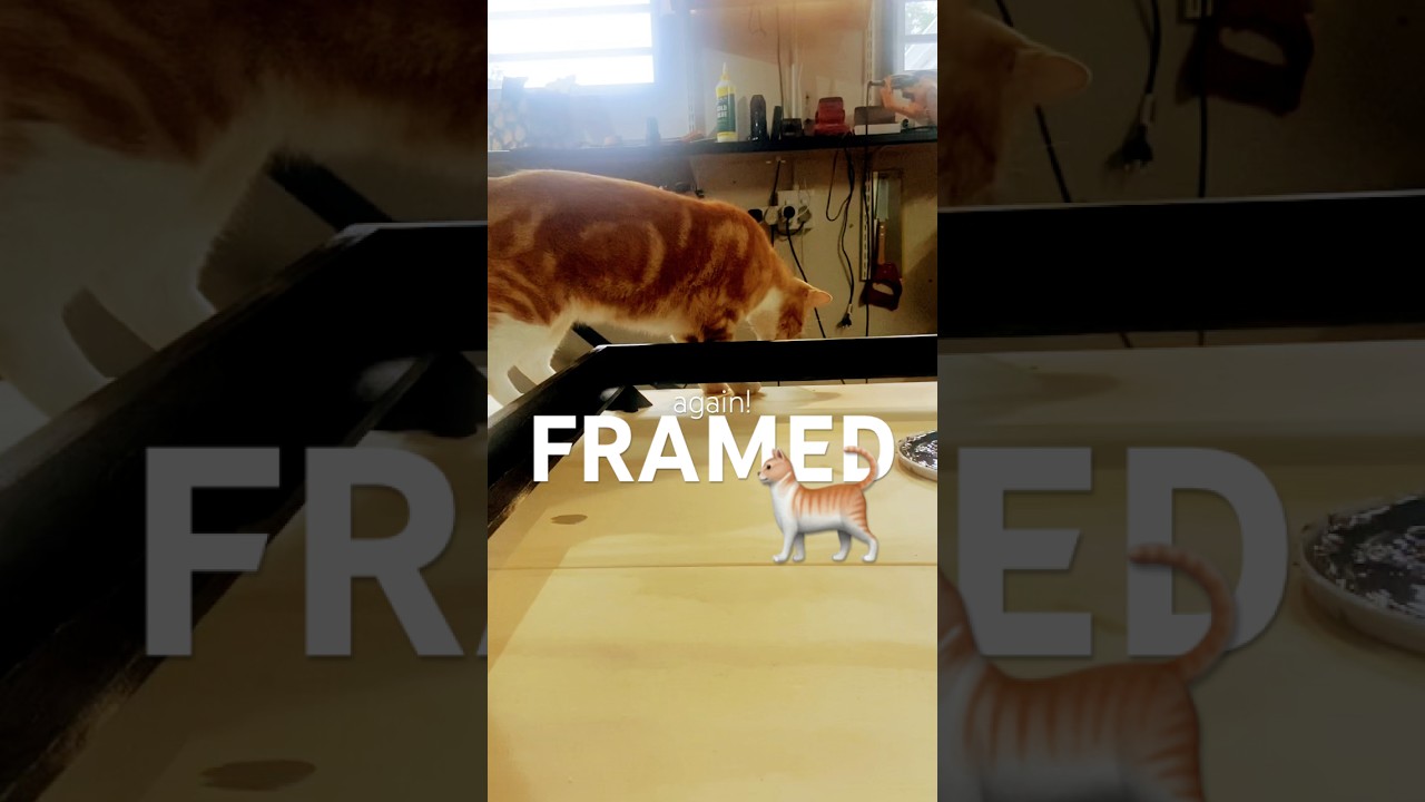 The Art Assistant 🐈 is a tough critic! #artistlife