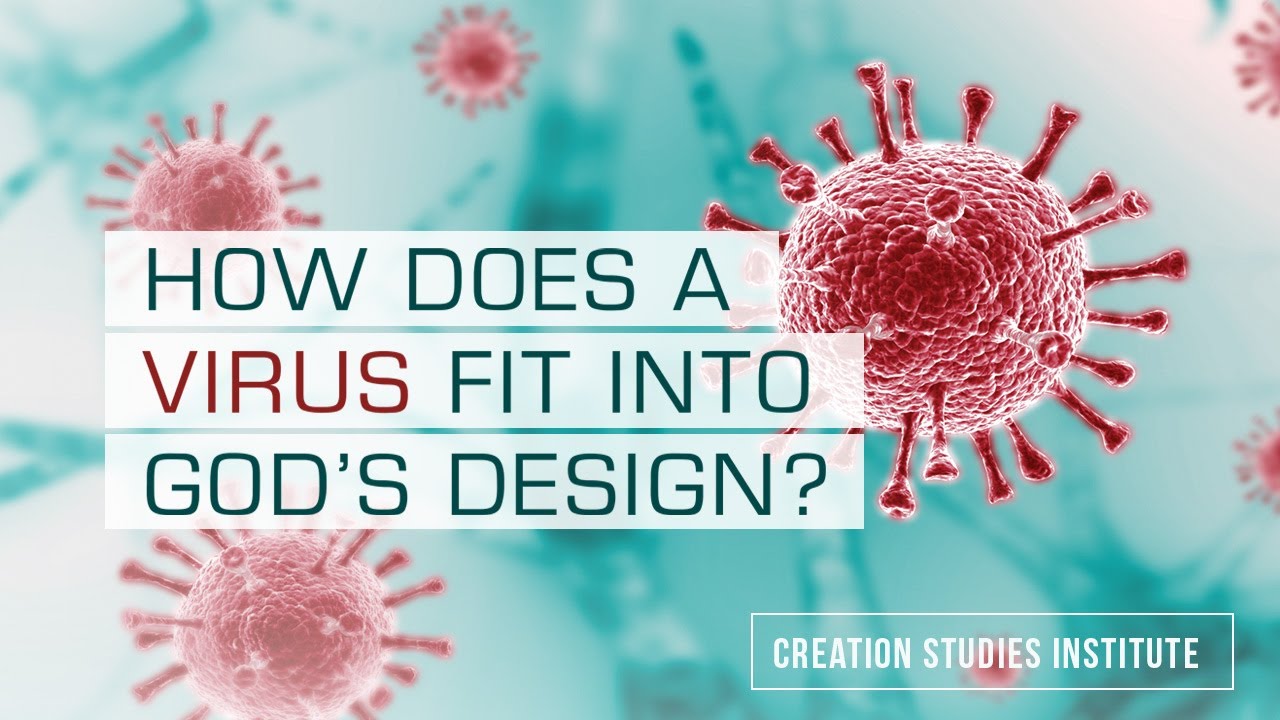 How Does a Virus Fit into God’s Design? – Creation Studies Institute