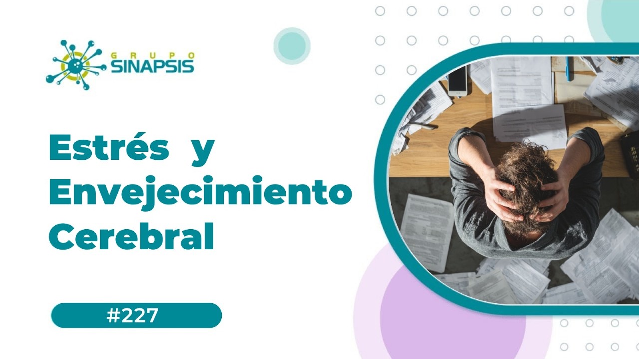 Stress and brain aging