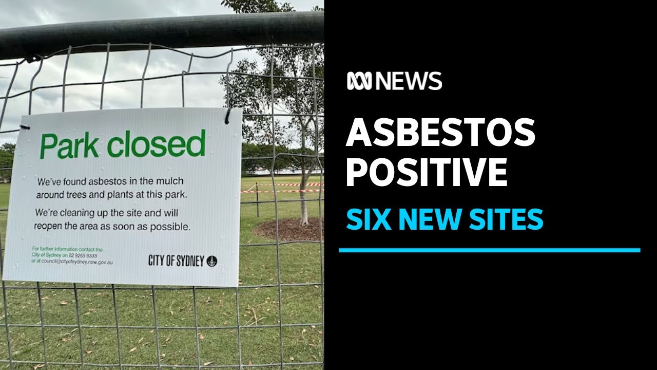Six new sites test positive to asbestos in Sydney | ABC News
