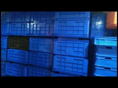 Plastic Vegetable Crate - Fruit Crates Latest Price, Manufacturers ...
