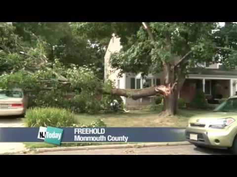 Massive Clean-up Underway in Freehold After Weekend Storm