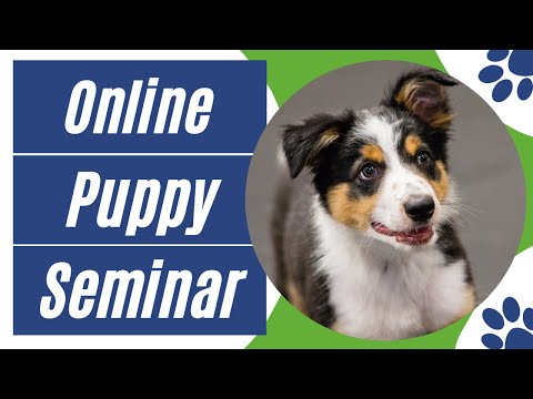 Online Puppy Seminar Trailer