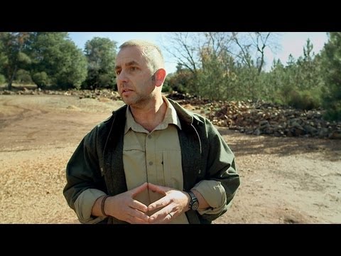 Onward California: The Indiana Jones of Insects