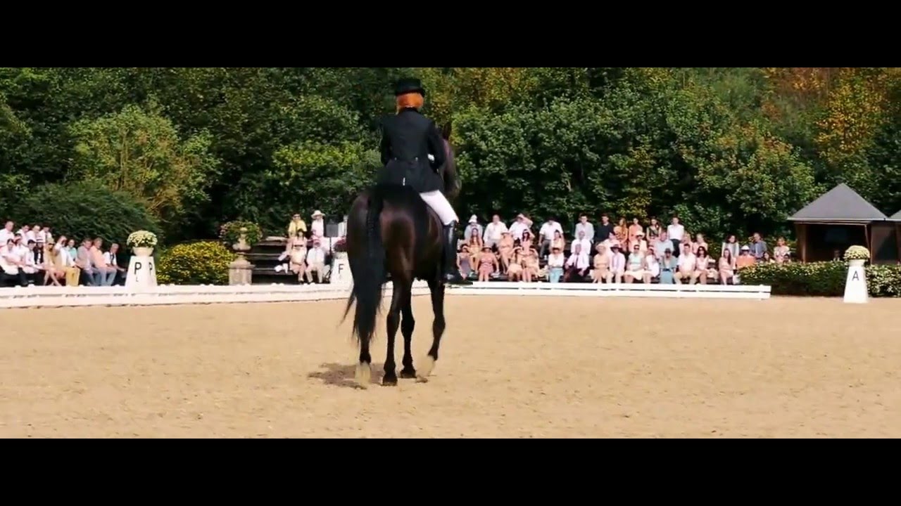 Ostwind 2 2015