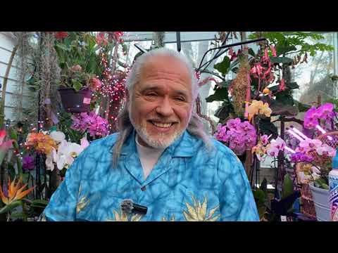 “He’s Back!” – KTFA Frank26 Video Update 1-17-26 | Dinar Chronicles