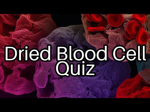 💉 Blood Cell Quiz: Test Your Knowledge and Discover Fascinating Facts!