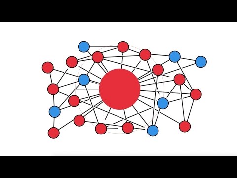 Social media echo chambers trap Americans