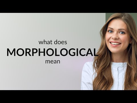 Morphological • meaning of MORPHOLOGICAL