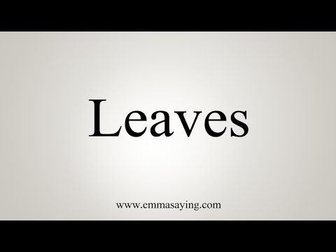 How To Say Leaves