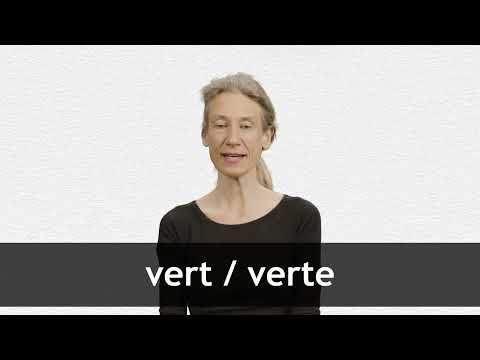 English Translation of “VERT” | Collins French-English Dictionary