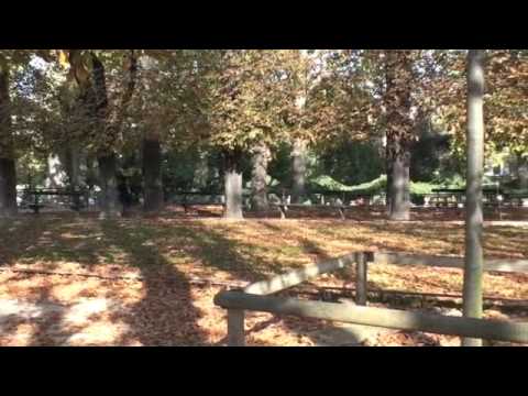 Luxembourg Gardens Paris
