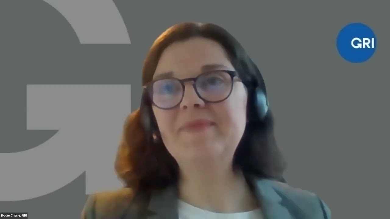 Sustainability in Action - Reporting Webinar