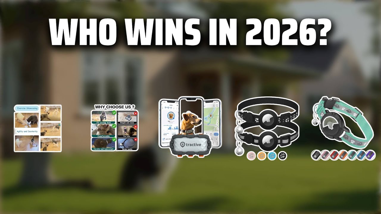 The Top 5 Best Cat Tracker in 2026 - Must Watch Before Buying!