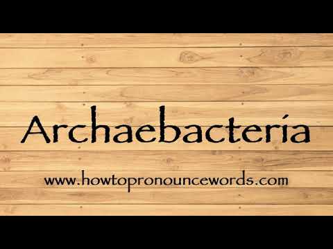 How To Pronounce Archaebacteria ? How To say Archaebacteria New Video
