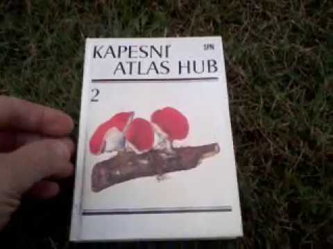 KAPESNÍ ATLAS HUB 2 - VZÁCNÉ HOUBY
