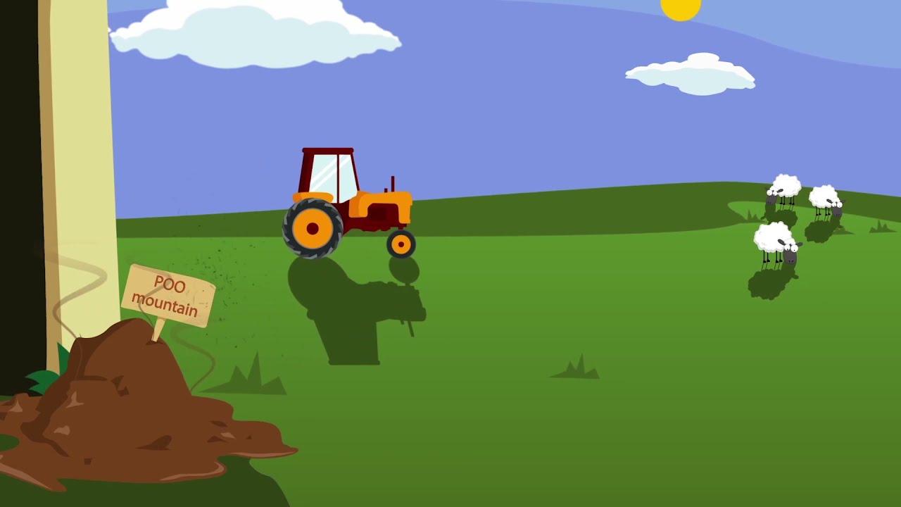 Culicoides life cycle