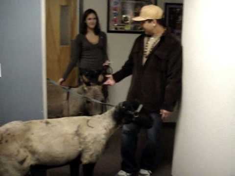 MAKANI VLOG 23.wmv