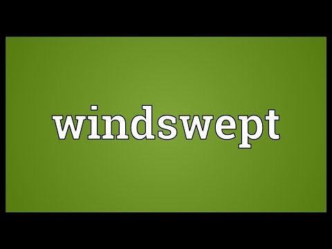 Windswept Meaning