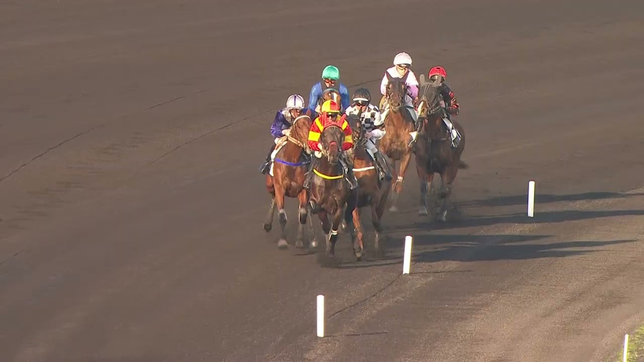 PRIX FÉLICIEN GAUVREAU - ETRIER 3 ANS Q2 2026