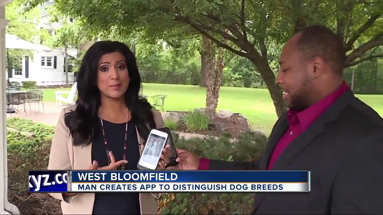 Michigan man creates DoggZamm! app, allows you to identify dog breeds with just a photo