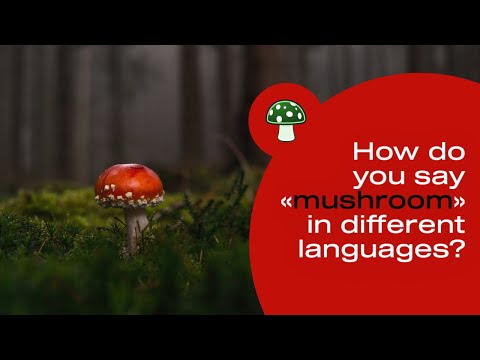 How do you say "mushroom" in your language?