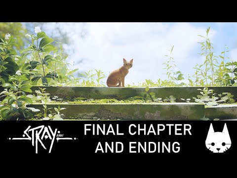 Steam Community :: Video :: Stray - Final Chapter and Ending