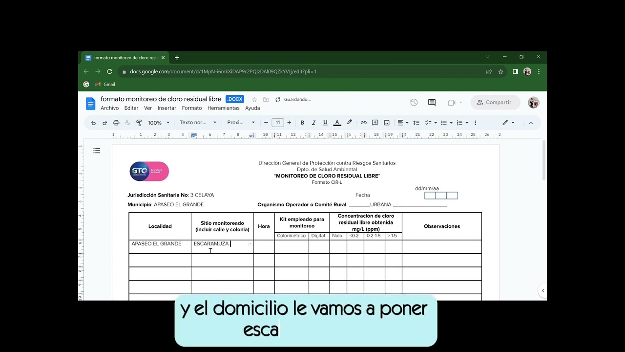 ¿cómo es el llenado del formato 