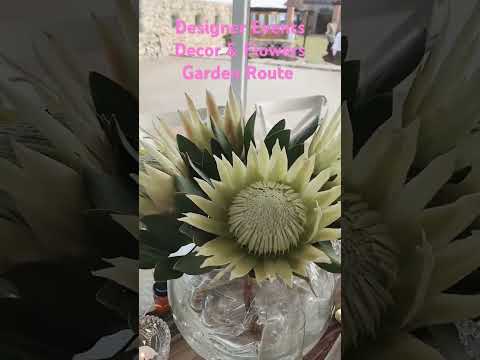 Weddings Functions Events Decor Hire & Flowers on Garden Route