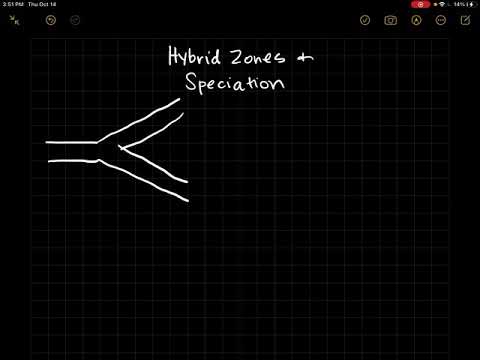 Campbell biology Hybrid Zones and Speciation