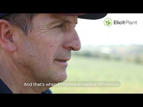 Testimonial of Patrick Mounier, BEST-a Corn user