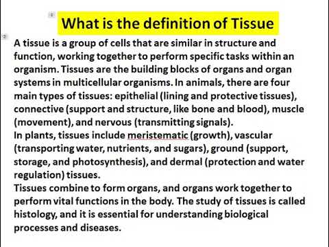 what is the definition of tissue