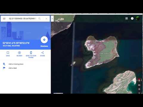 Floating Forests and Google Maps | Floating Forests