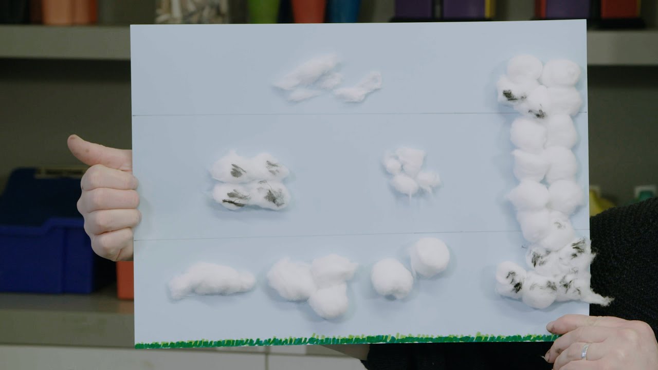 Create a cloud identification chart