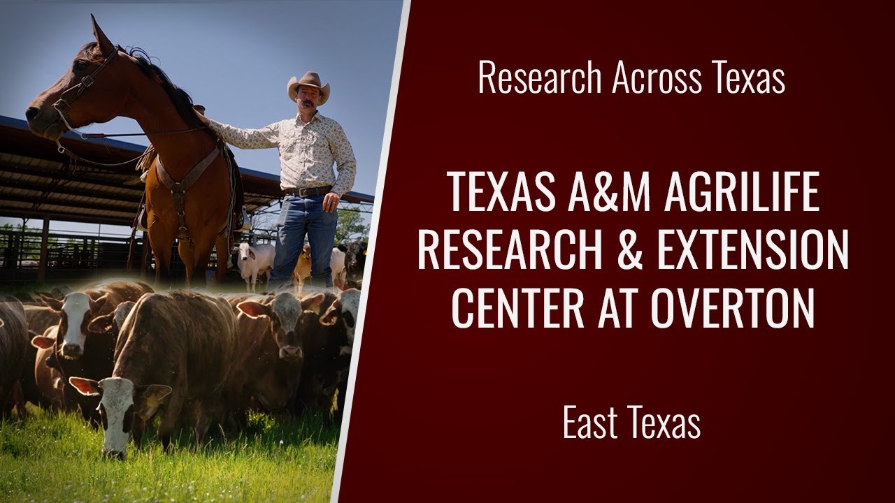 Overton - A Texas A&M AgriLife Research & Extension Center