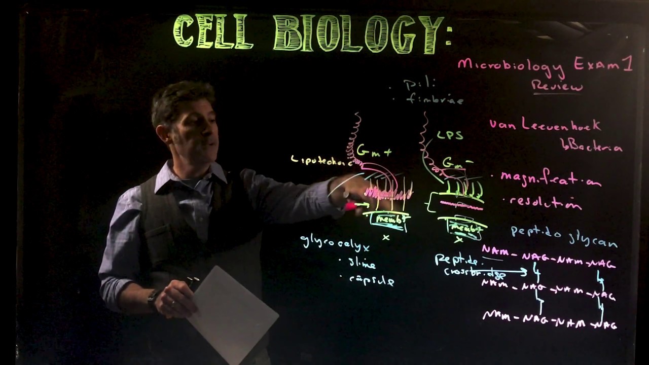 Microbiology Exam 1 Overview