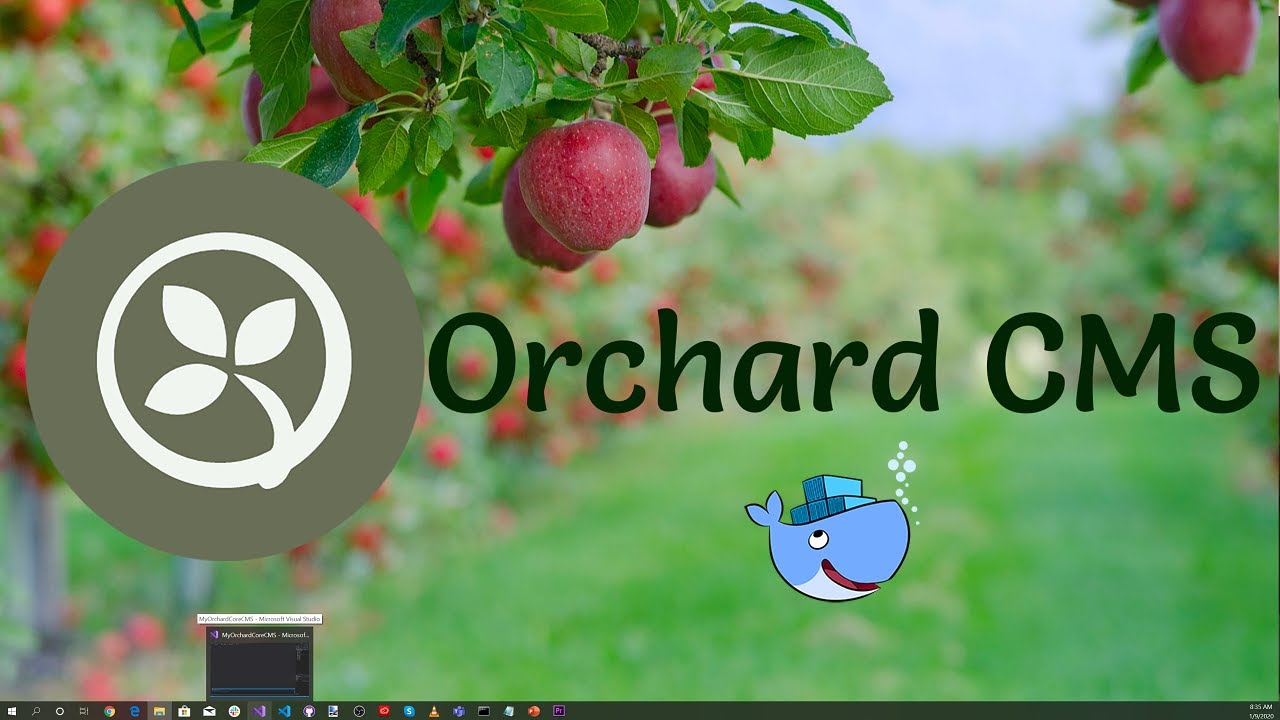 Setting up Orchard Core Web  App and a MS SQL Server running in Docker Containers via Docker Compose