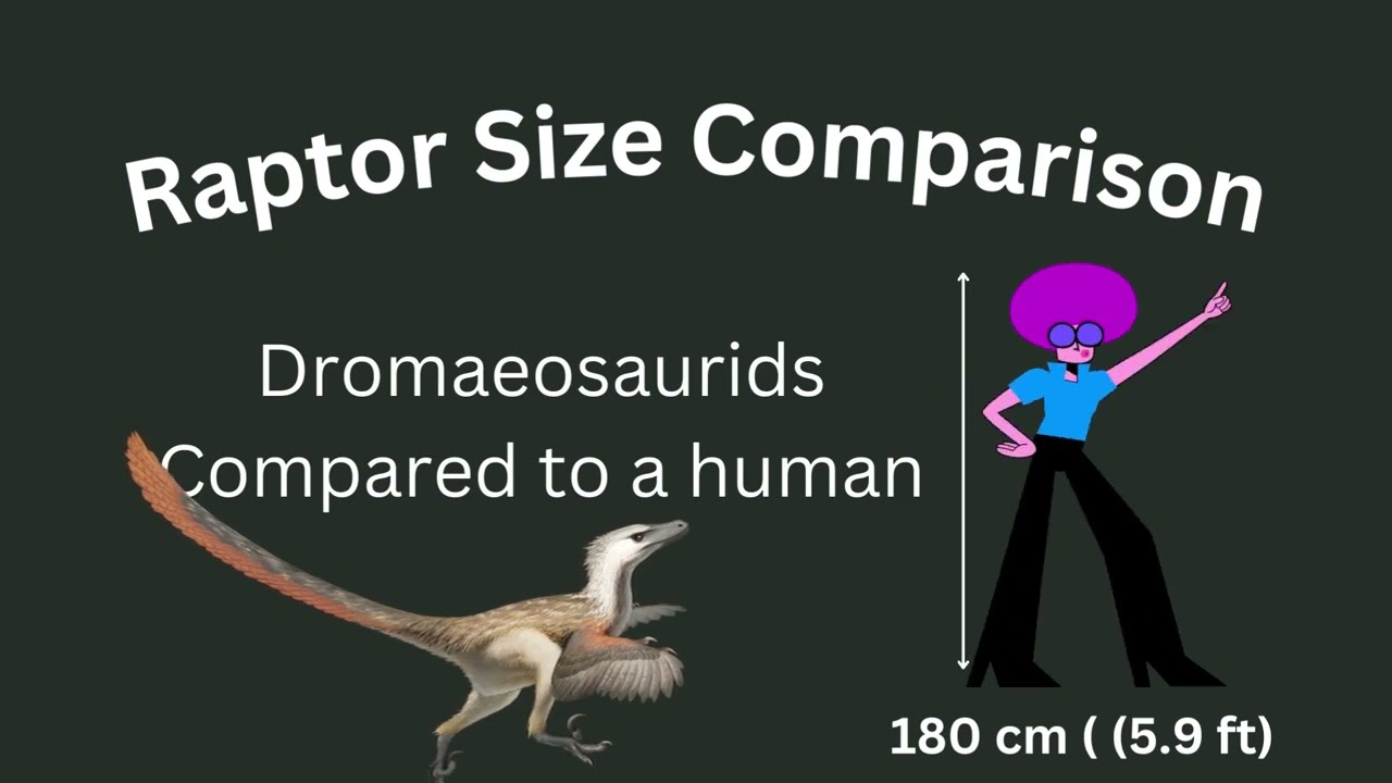 Raptor Dinosaur Size Comparison vs Human