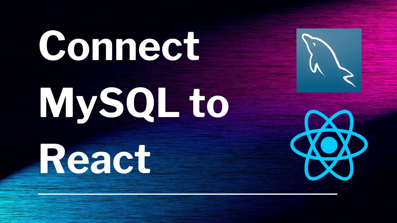 How To Connect MySQL To Express and React