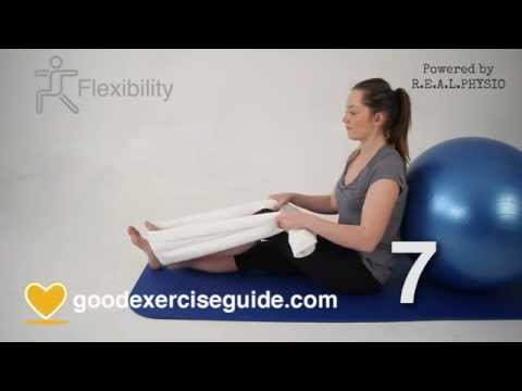 the knee project | the good exercise guide