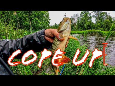 Cope upē