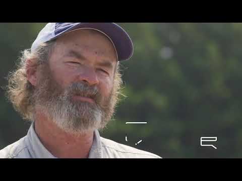 Should growers scout crops with insect control trait technology?