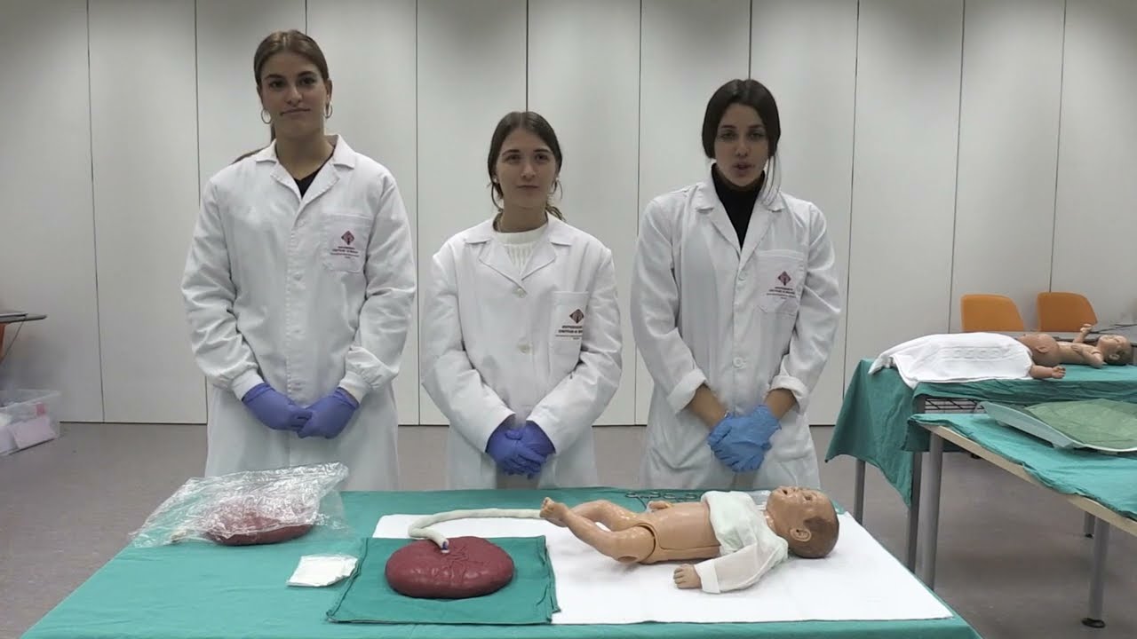 Seminario: Placenta - Práctica Enfermería Materno Infantil