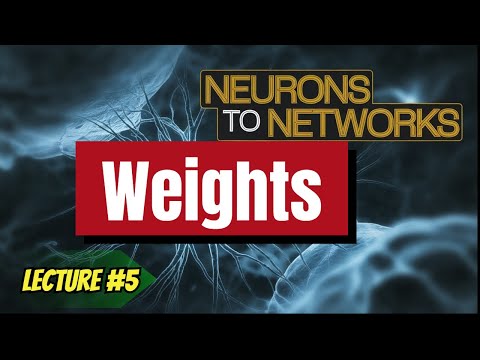 The EASY Way to Understand Weights in Neural Networks