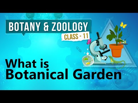 What Is Botanical Garden - Kingdom Plantae - Biology Class 11