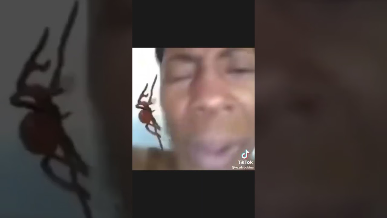 Pin de Luquinhas ♥️ en Pins criados por você em 2023 | Memes engraçados, Piadas hilárias