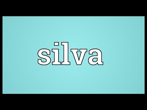 Silva Meaning