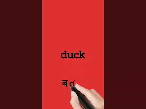 meaning of duck in hindi ||डक को हिंदी में क्या कहते हैं||शब्दार्थ||#शॉर्ट्स