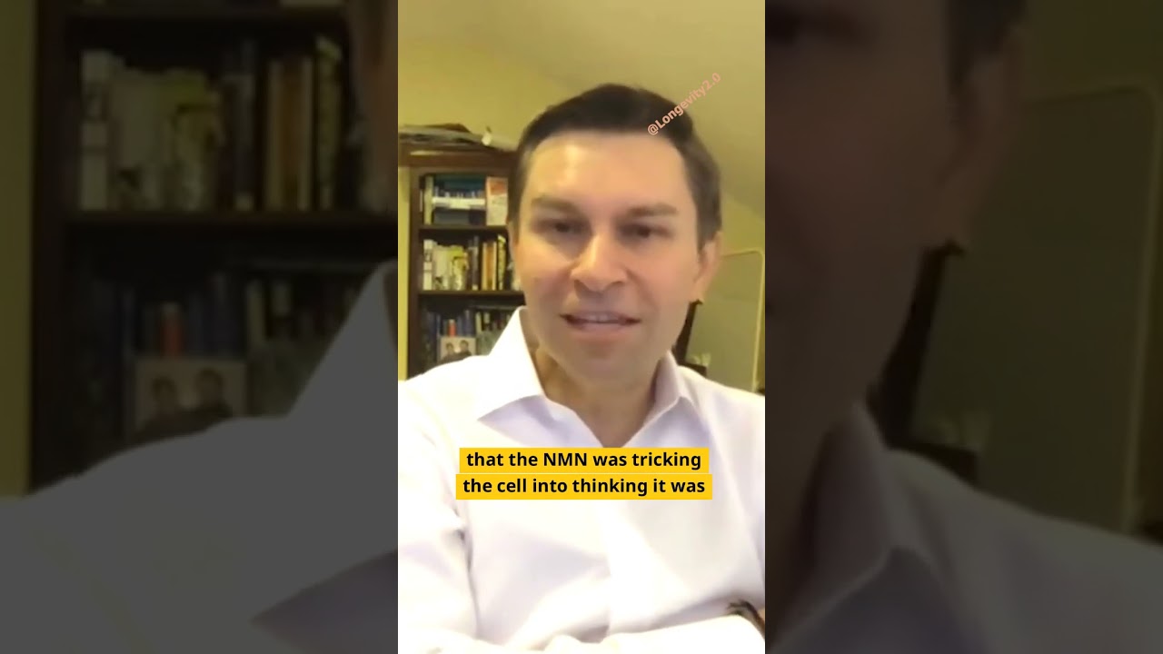 🩸Growing NEW Blood Vessels with NMN Powder Supplement by Dr David Sinclair #davidsinclair #nmn
