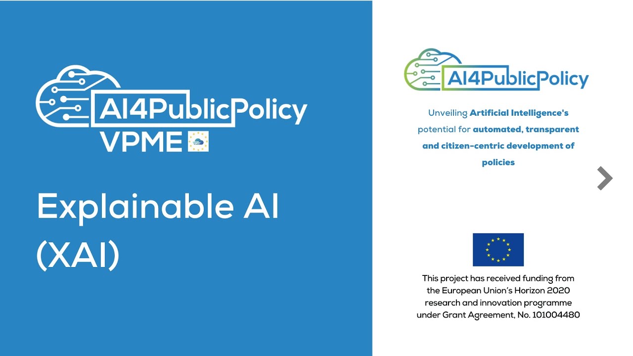 VPME Explainable AI (XAI)